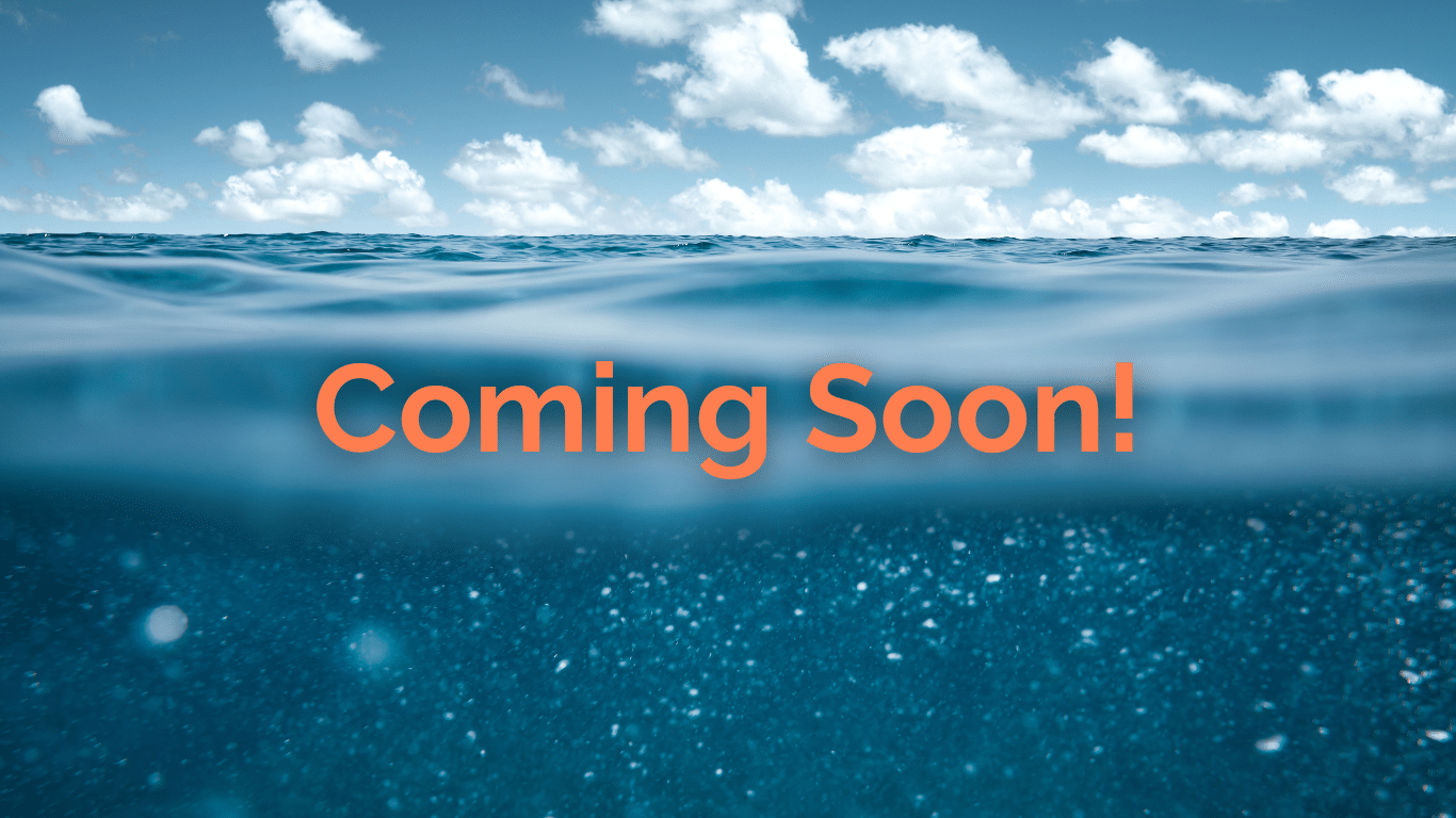 Contact Cruiseabout for Expert Cruise Advice & Unbeatable Deals